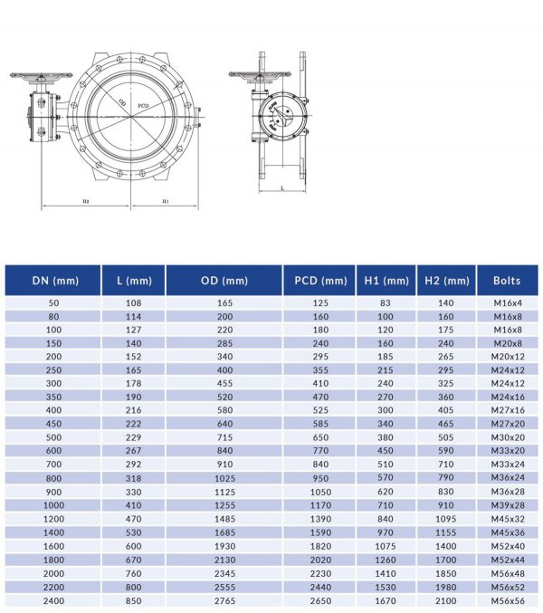 Double Eccentric Flanged – LYE