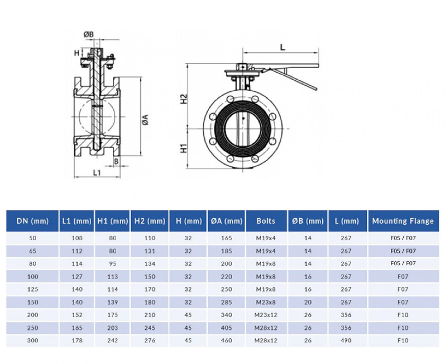 Concentric Flanged Type – LYE