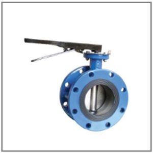 Butterfly Valves – LYE